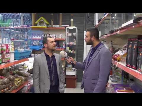 GÜNGÖREN PETSHOP