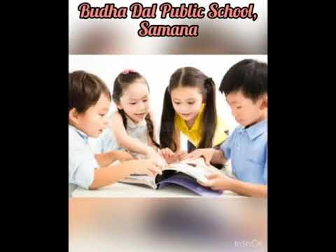 National Energy Conservation Day, BDPS Samana - YouTube