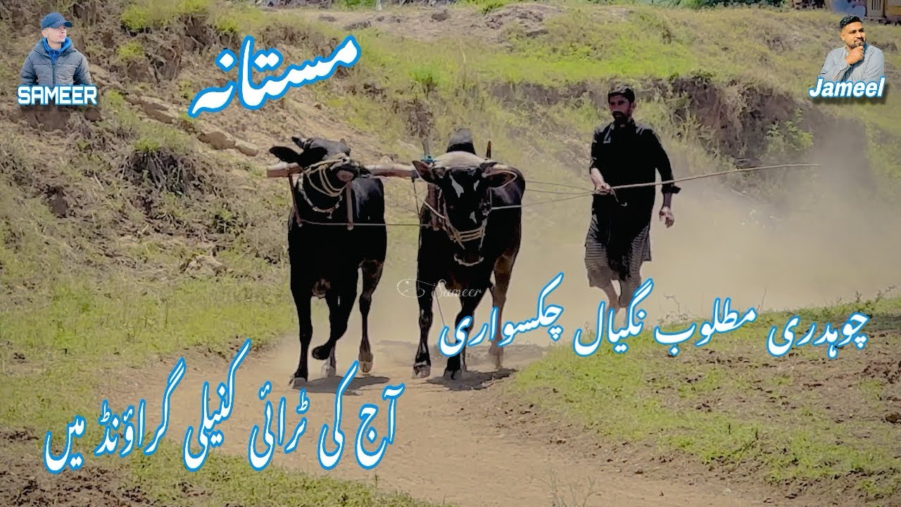 Mastana | ch matloob nagyal chakswari | today try knaili ground | 15/05 ...