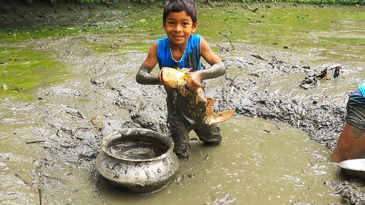 Hand Fishing ll Fish Catching Using by Hand From Mud Water in the ...