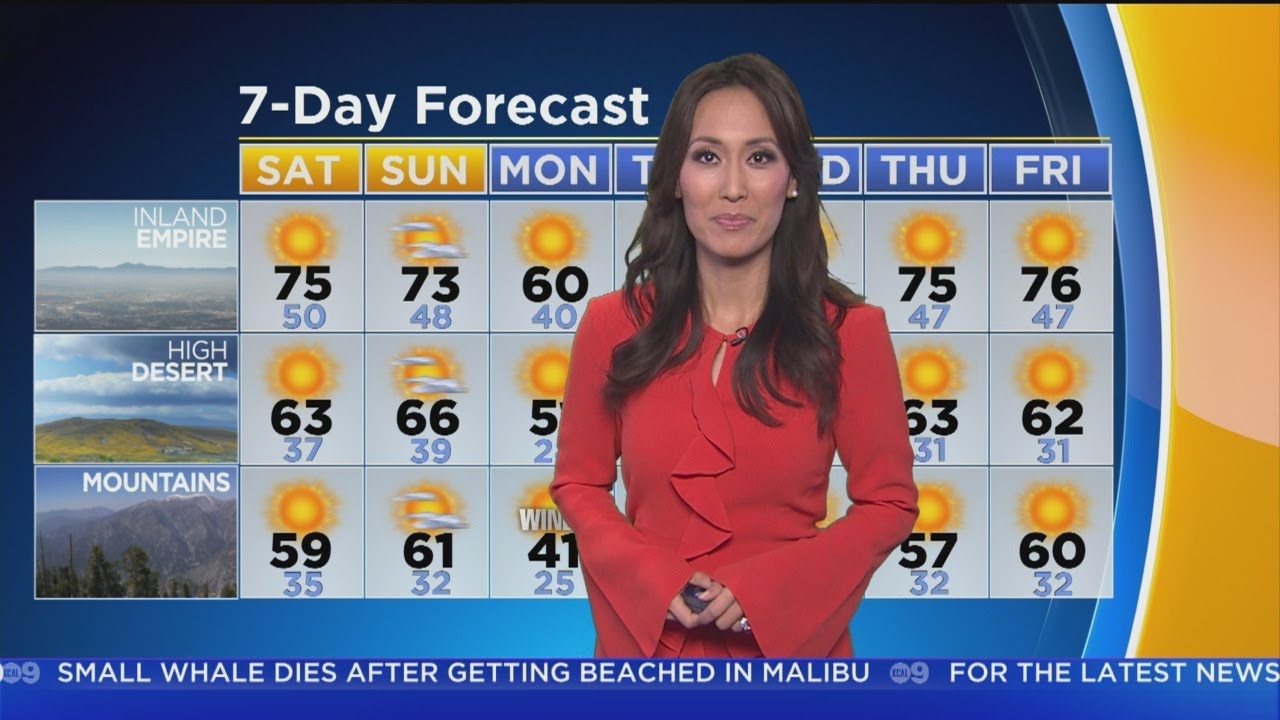 Jennifer Kim's Weather Forecast (Jan. 19) - YouTube