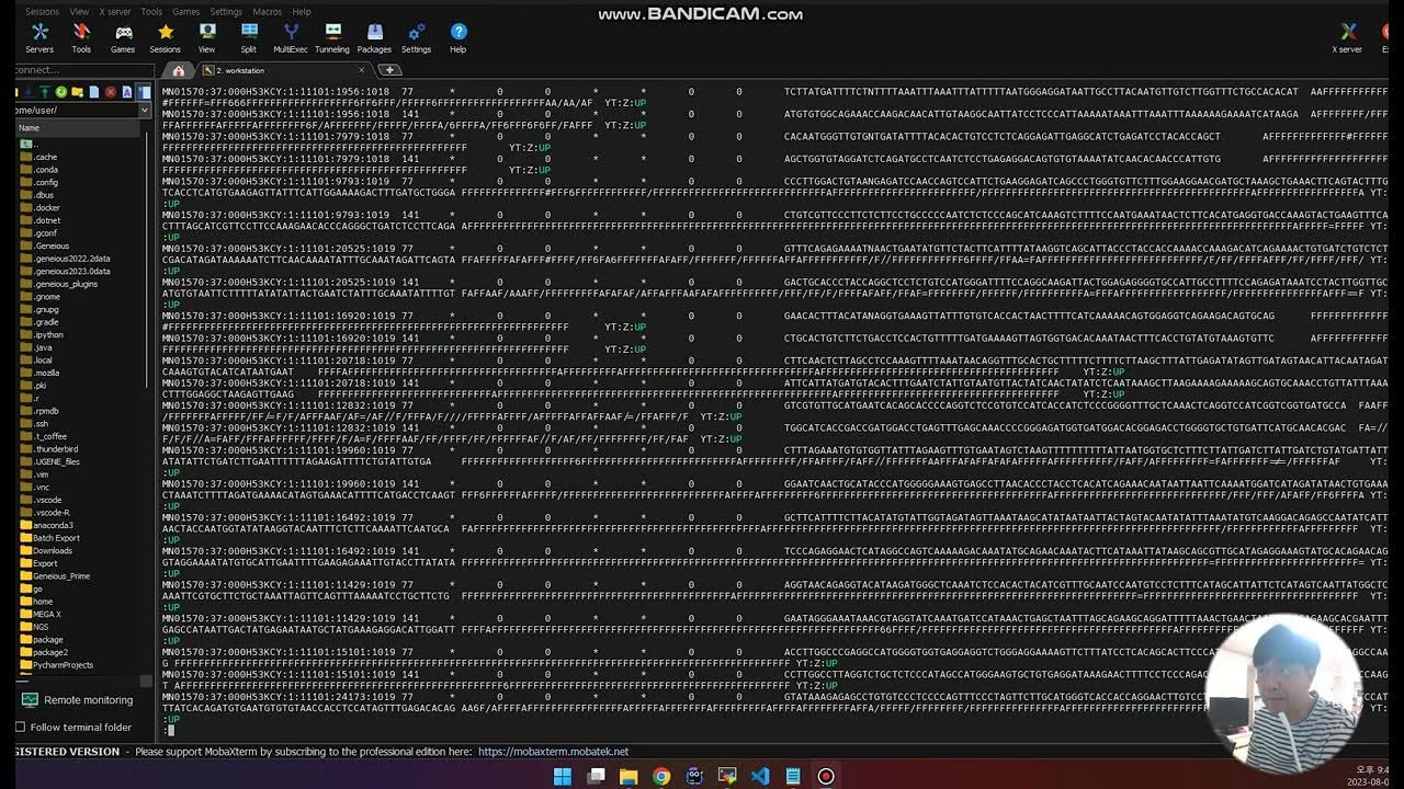 sam file manipulation by using samtools - YouTube