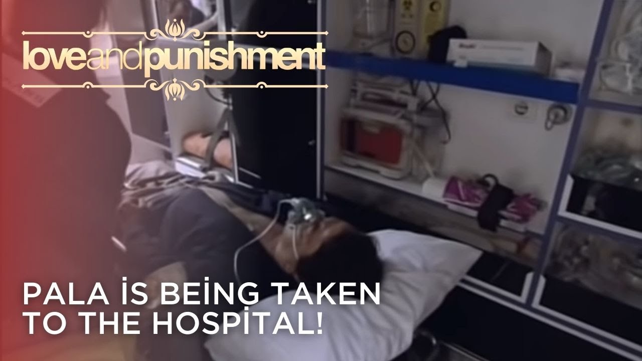 Pala is being taken to the hospital! | Love and Punishment - Episode 22 ...
