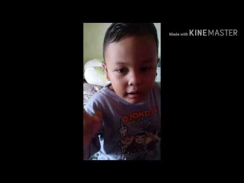 Like and tik tok manjaaa😂😂