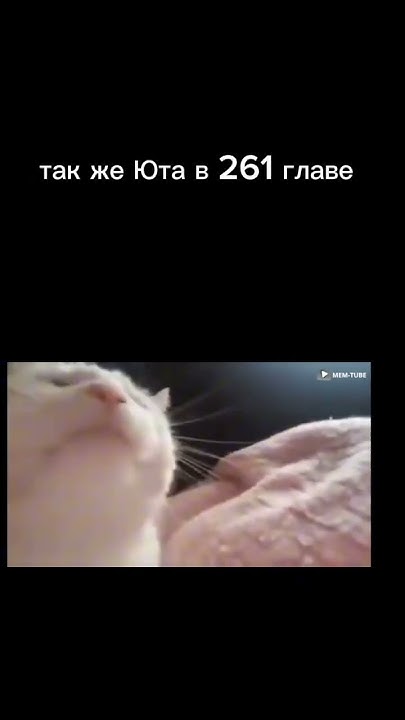 мем годжо - YouTube