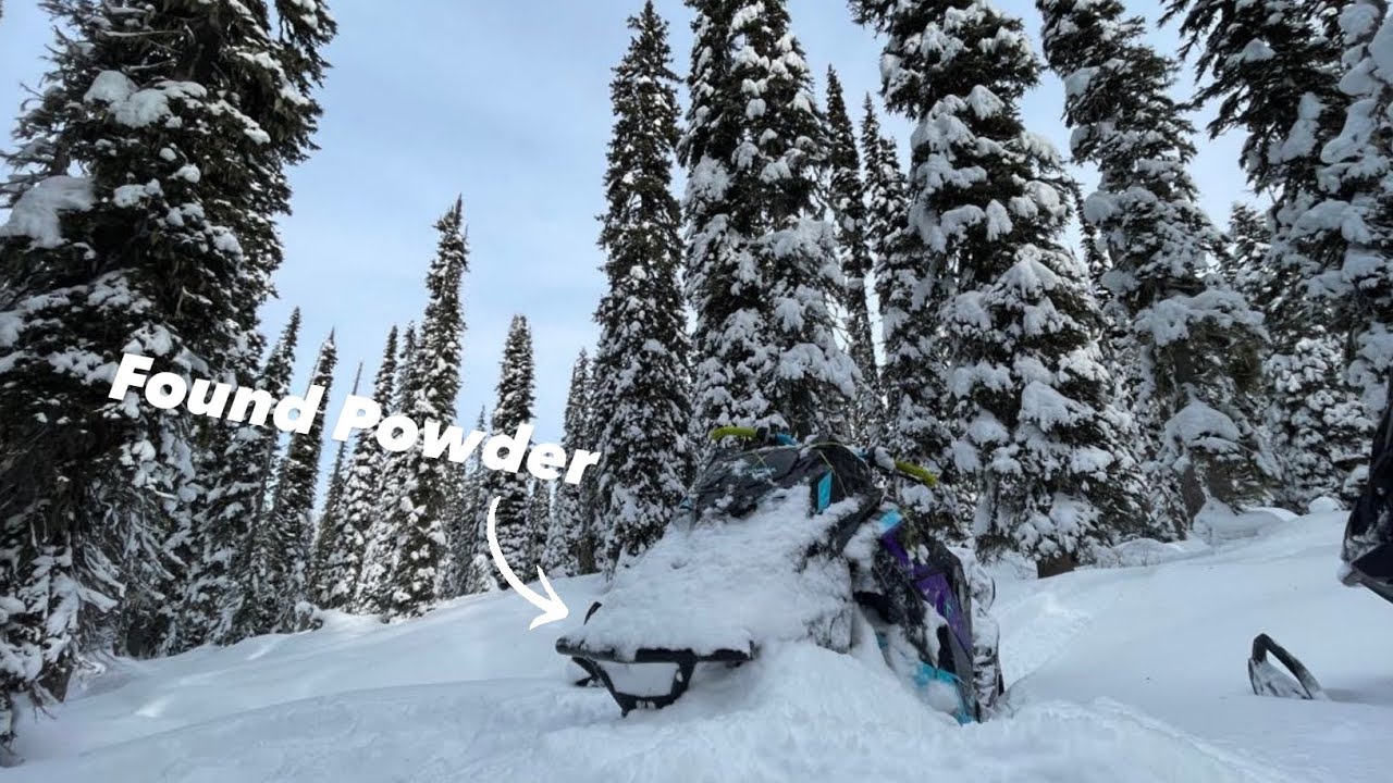 We went EXPLORING in Revelstoke (Found Powder) - YouTube