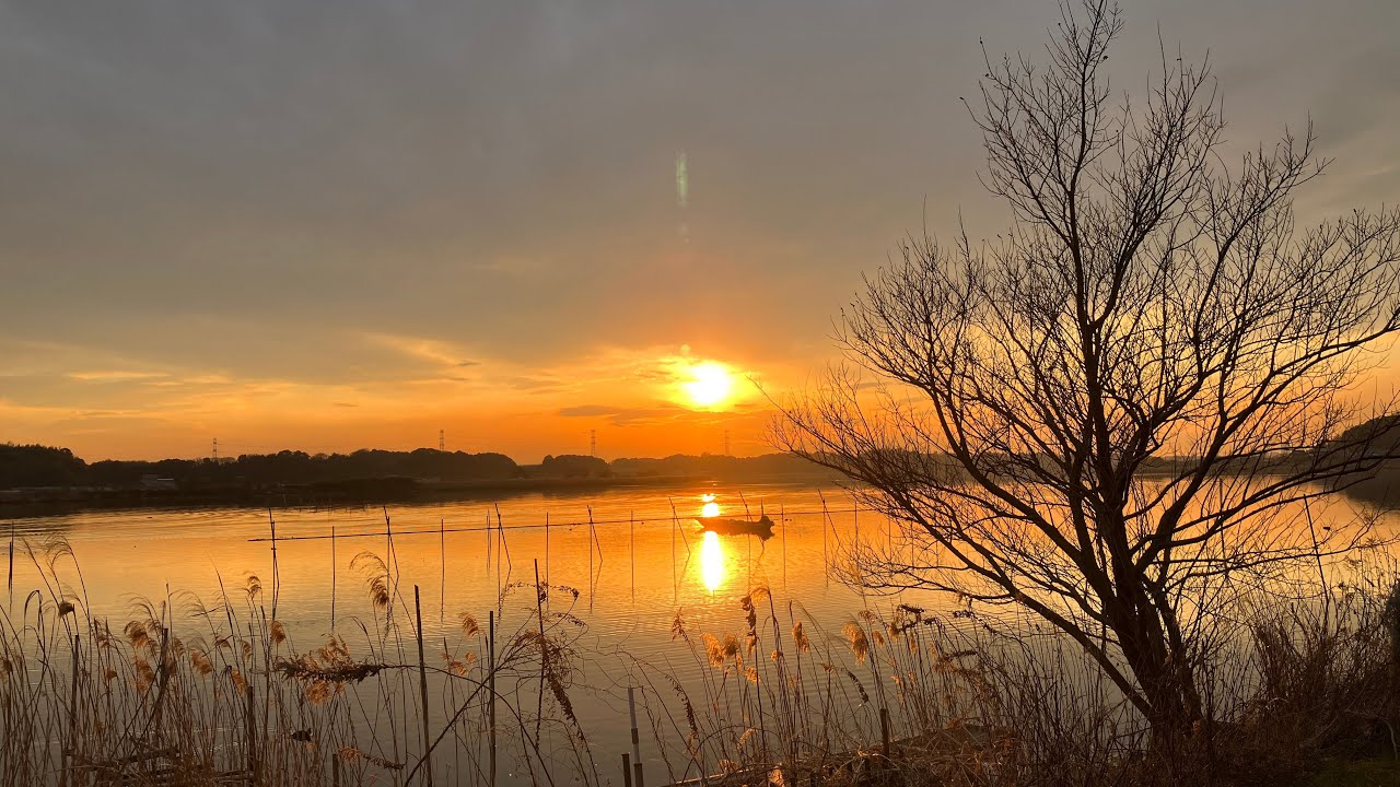 webern langsamer satz (strings ver.) (rec.) - YouTube