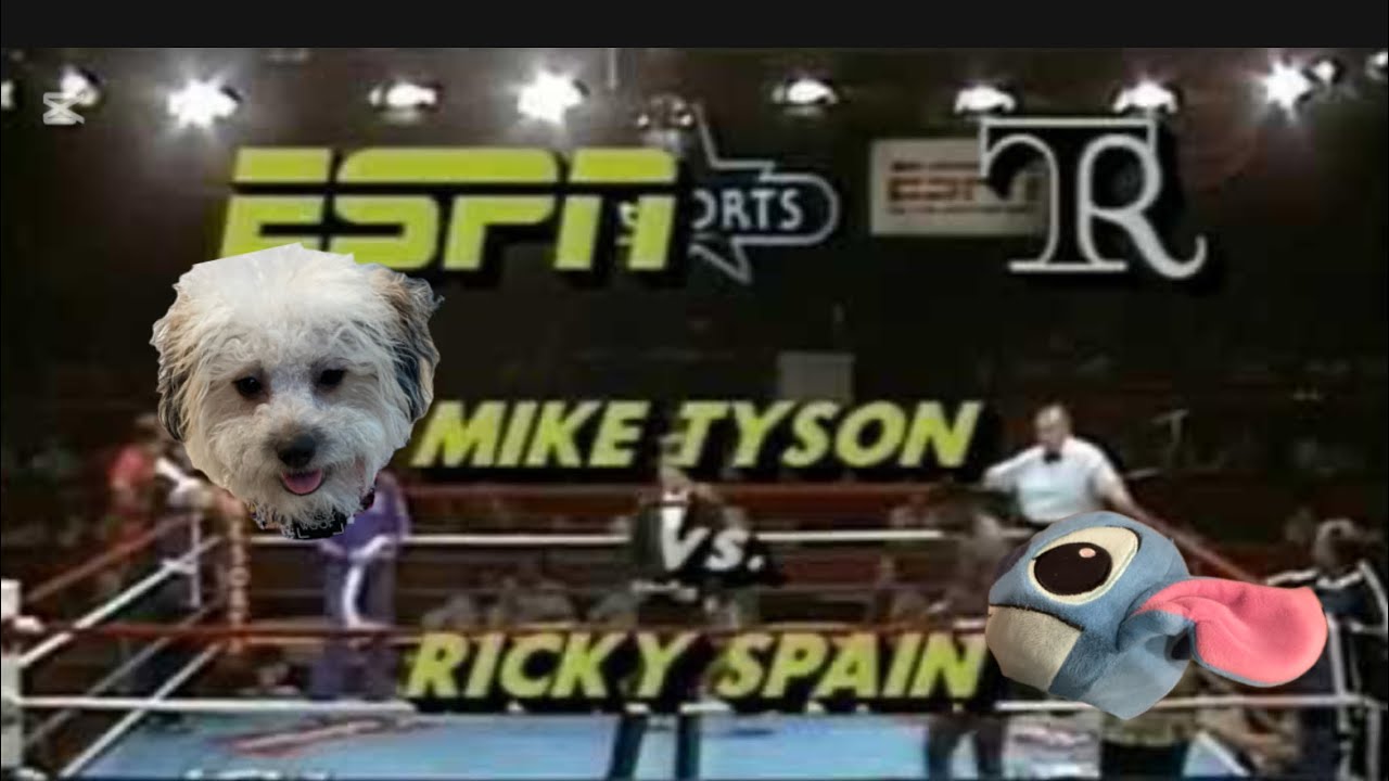 Dog Tyson VS Ricky Spain - YouTube