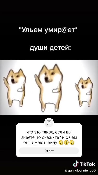 собаки танцуют, и я не понимаю. 🤨🤨🤨🤨 - YouTube