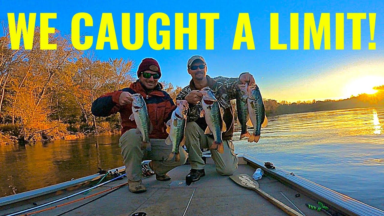 Catching The MOST Aggressive Bass (Georgia River Fishing) - YouTube