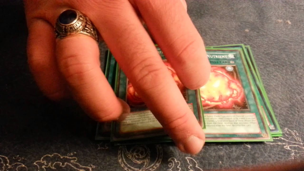 Yu-Gi-Oh! Sylvan Deck Profile - YouTube