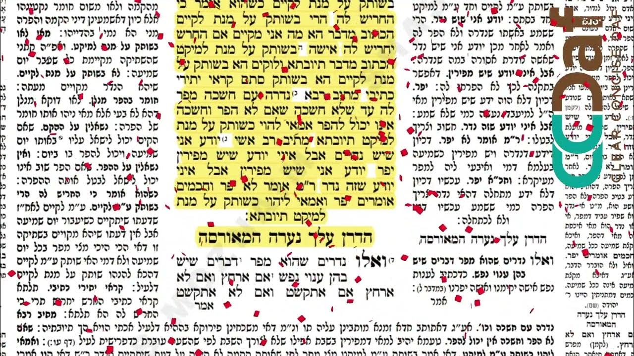 Nedarim 79 [1.12] - Daf Yomi Clear & Concise - YouTube