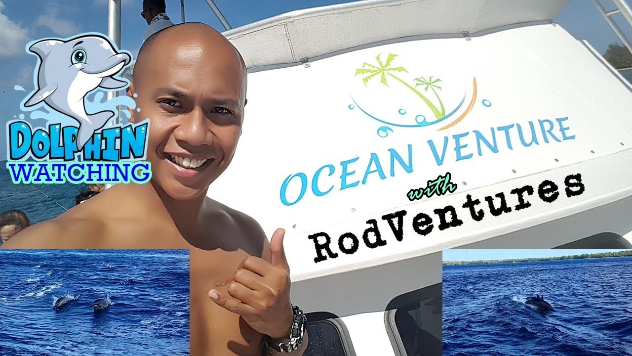 OCEAN VENTURES with ROD VENTURES | DOLPHIN WATCHING | SNORKELING ...