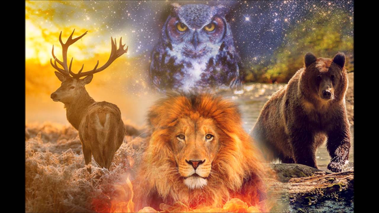 Il primo Viaggio Sciamanico - parte 1 - YouTube