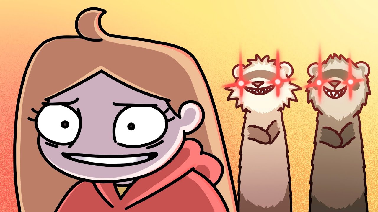 Ferrets As Pets - ANIMATED - YouTube