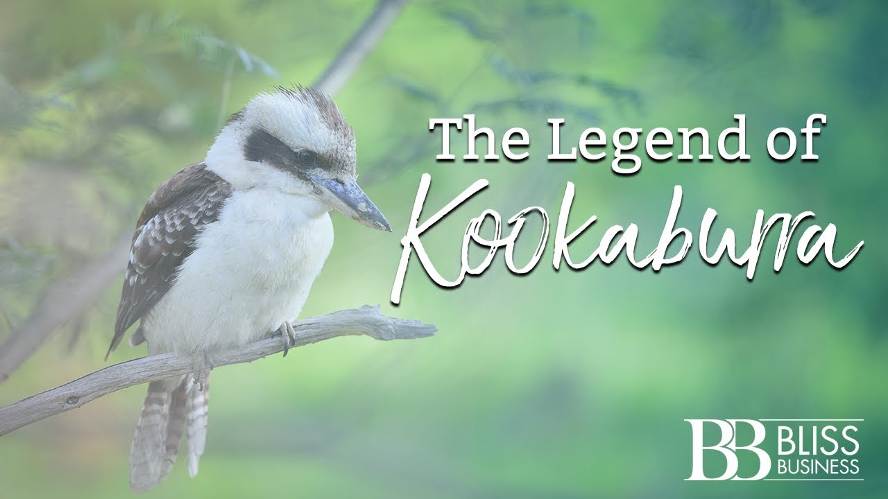 The Legend of the Kookaburra - YouTube