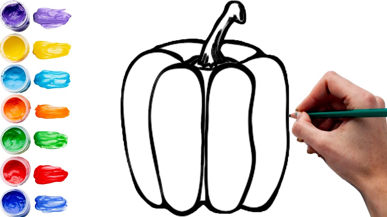 how to draw a bell pepper | yellow bell pepper | drawing bell pepper ...