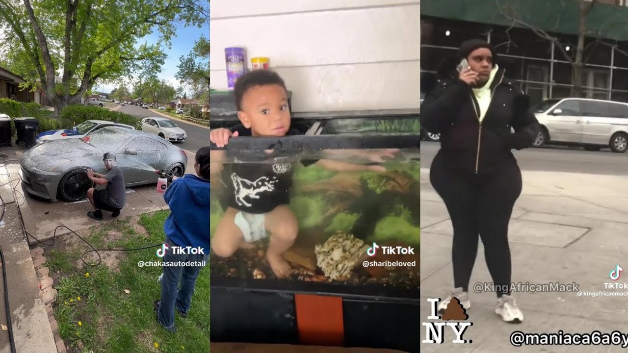 Tiktoks posted by the unemployed friend on a Tuesday - YouTube