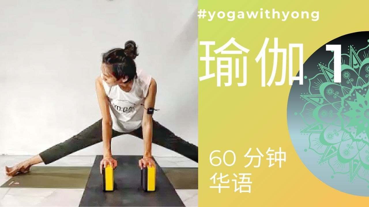 Yoga 瑜伽 1 初学者 ok (Boat Poses) ZOOM Class (中文) 23 - YouTube