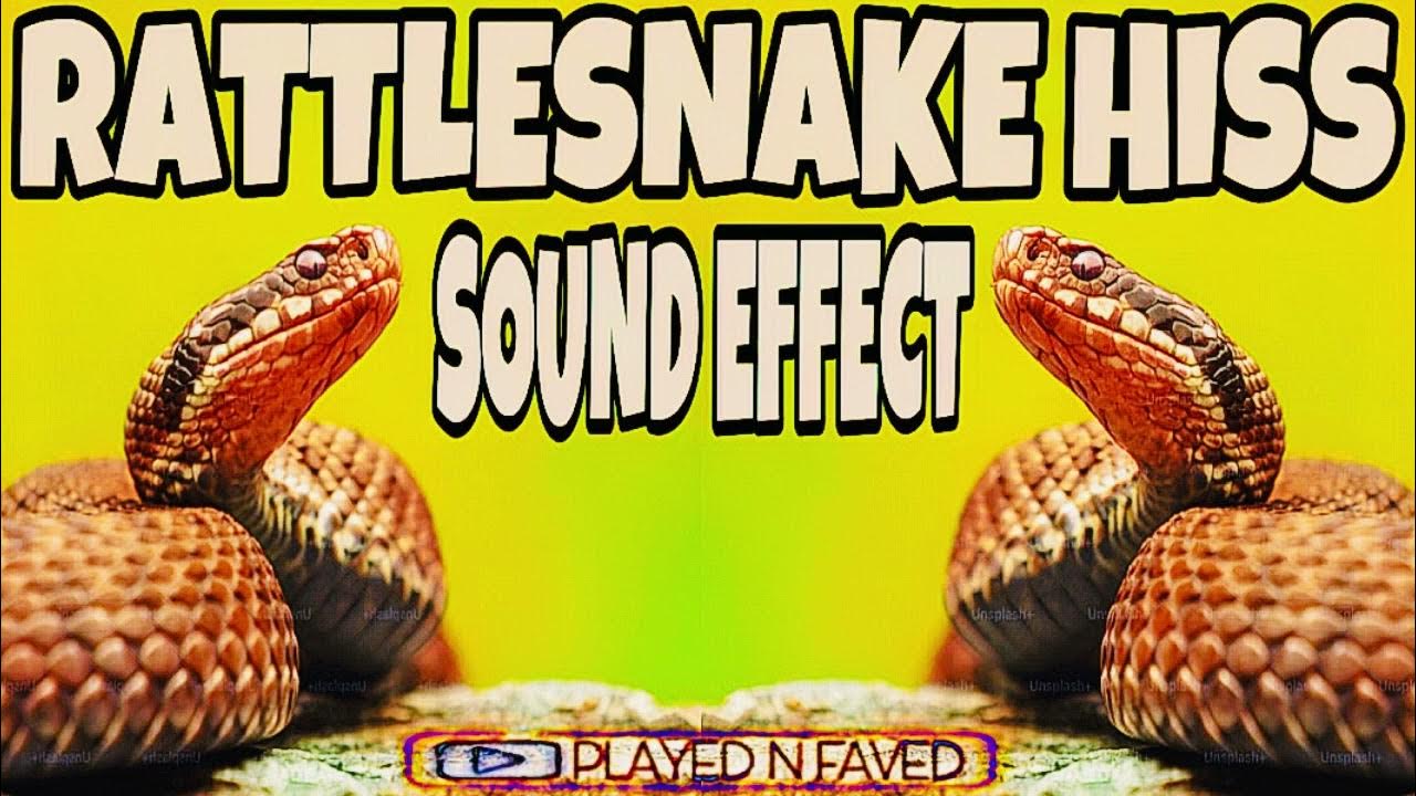 Rattlesnake Hiss Sound Effect - YouTube