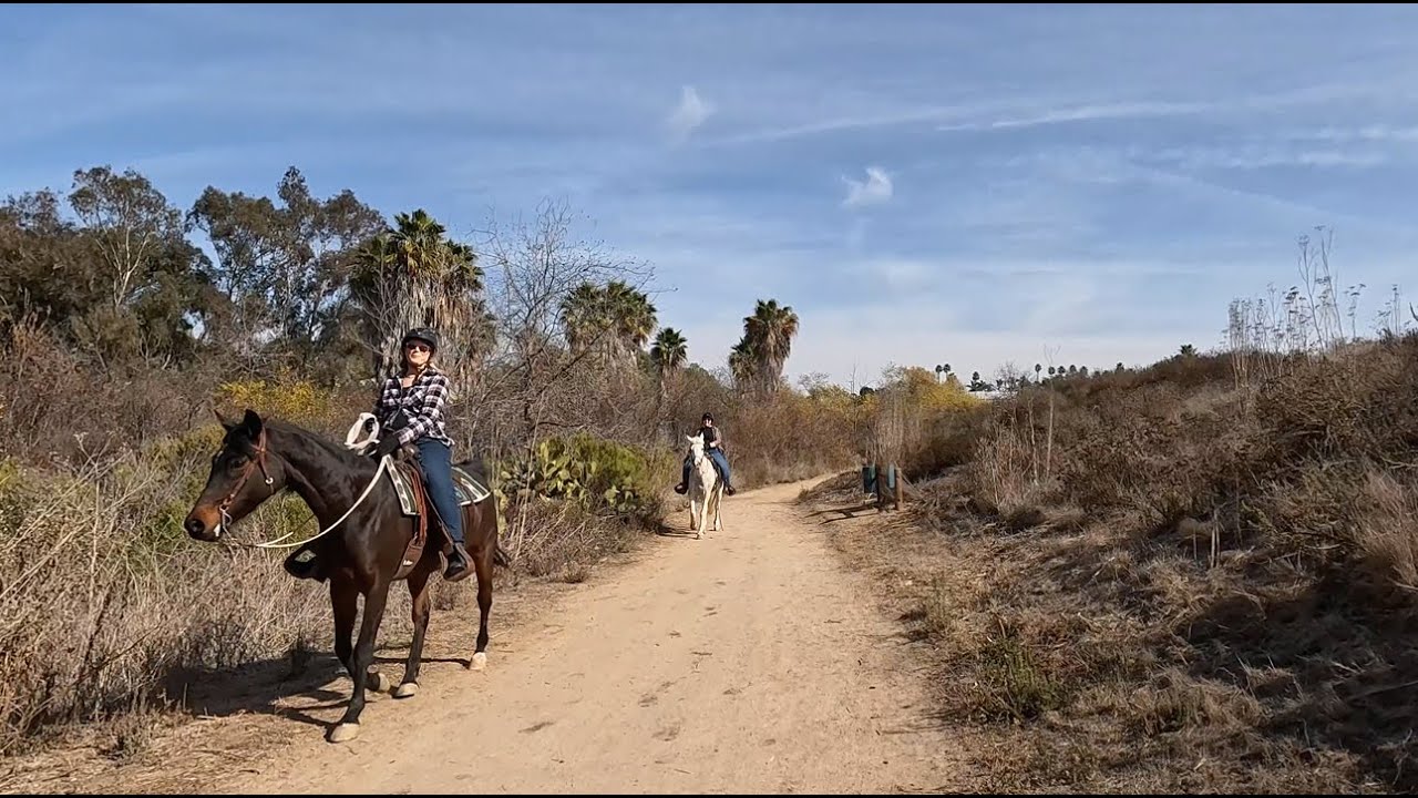 Guajome Park and Lake - YouTube