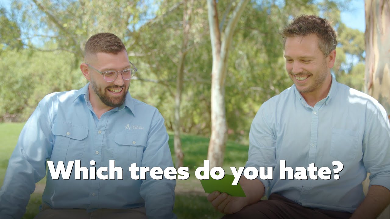 Which trees do you hate? - YouTube