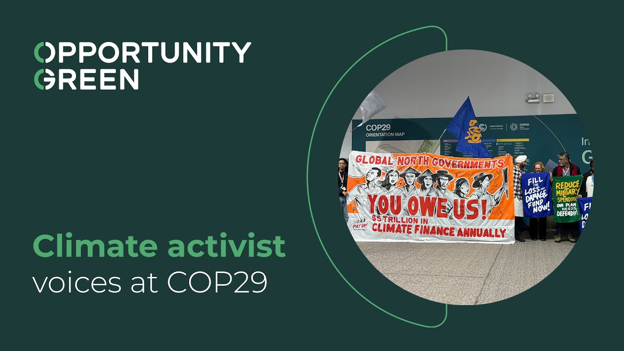 Does COP deliver climate justice? We speak to climate activists at ...