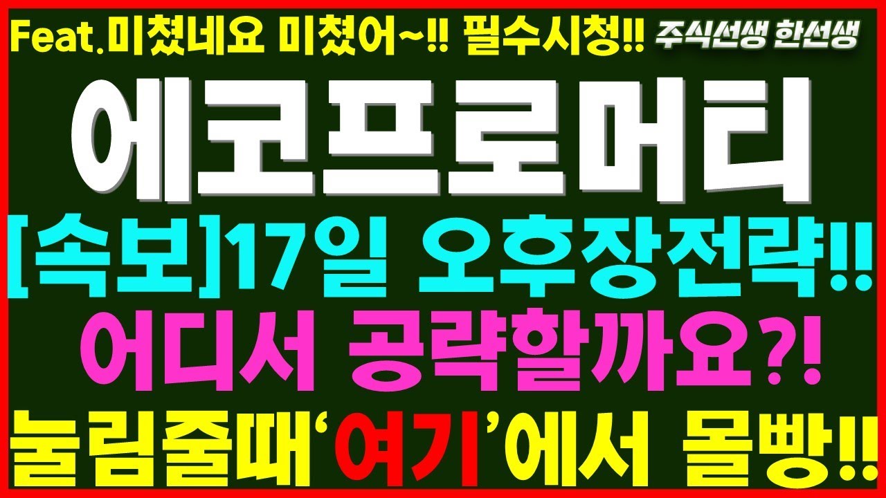 에코프로머티리얼즈 속보 17일 오후장전략 돌발악재 어디서 공략할까요 여기에서 입벌리고 대기 몰빵 필수시청 에코프로머티리얼즈 에코프로머티 Ls