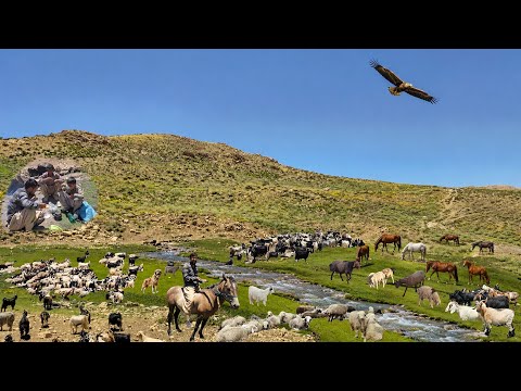 Into the Wild Zagros 🏔️🐑 | Nomad Shepherds, Hidden Springs & Mysterious Caves 🌿💧🐎