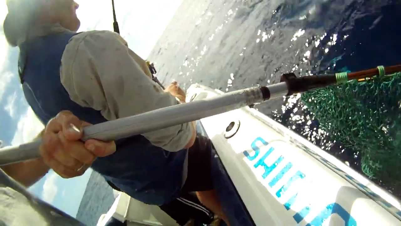 Blue Fin Tuna...GT Fishing Charters...Coffin Bay... - YouTube