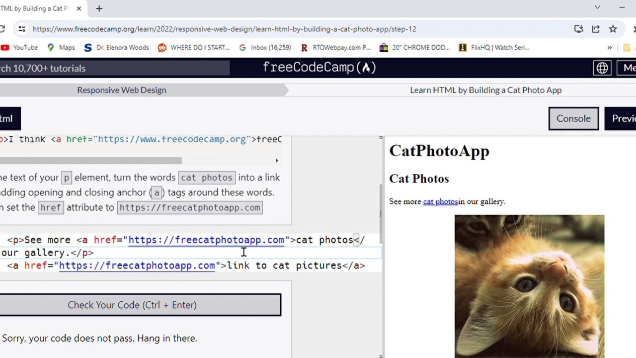 Free Code Camp Responsive Web Design/Learn HTML by Building a Cat Photo ...