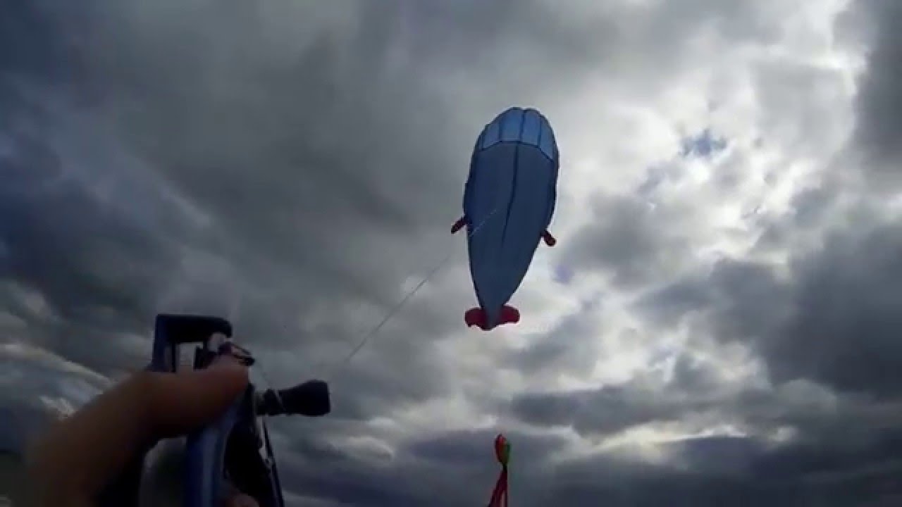 3D Blue Huge Frameless Soft Parafoil Giant Dolphin Kite With 100' line ...