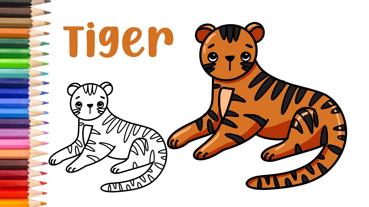How to Draw Cute Tiger Easy || Easy Step By Step Drawing Tutorial - YouTube