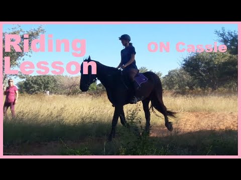 (FIRST )Riding lesson with MY HORSE - YouTube