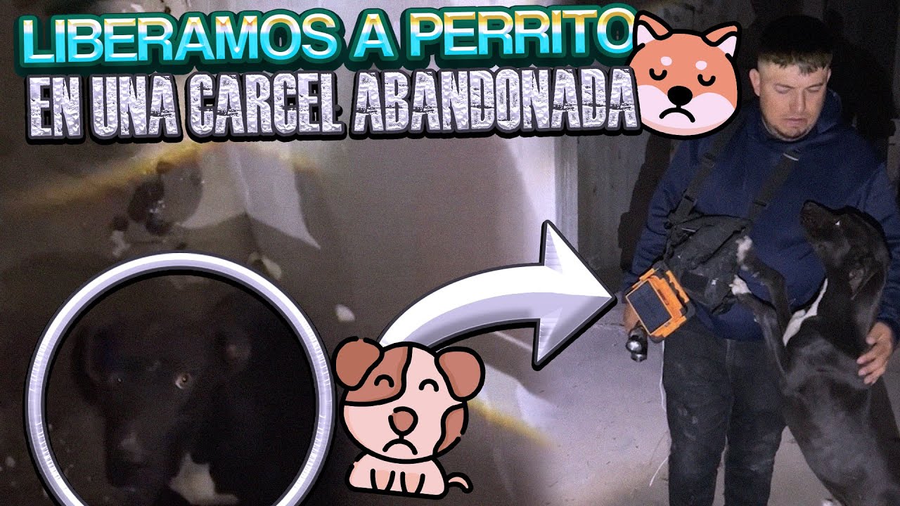 Liberamos a perrito en una carcel abandonada - YouTube