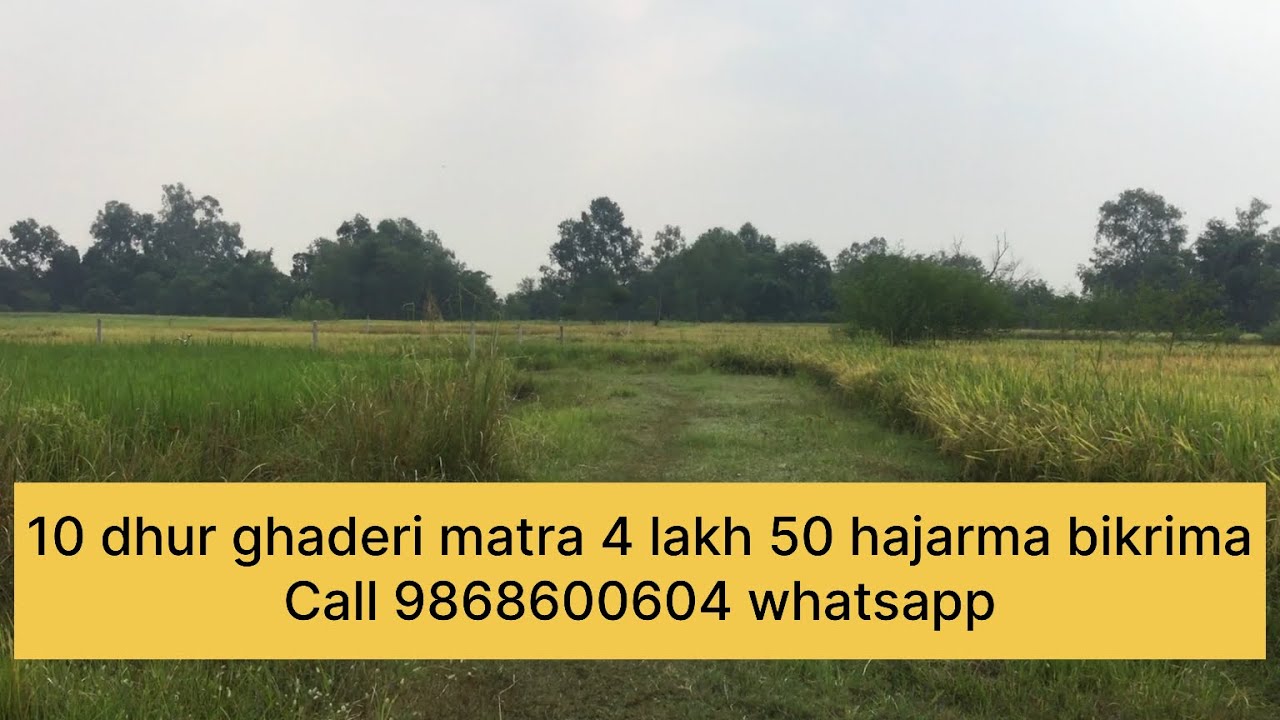 Kohalpur gohawa ma 10 dhur 4 lakh 50 hajarma bikrima call 9868600604 ...