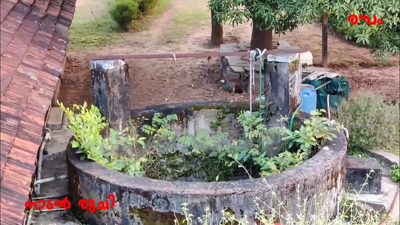 പാലക്കാട് കോട്ടയിൽ ടിപ്പുസുൽത്താൻ പറഞ്ഞ രഹസ്യ ഗുഹ Rasam Entertainment By BMK Vlog 219 Bintu ...