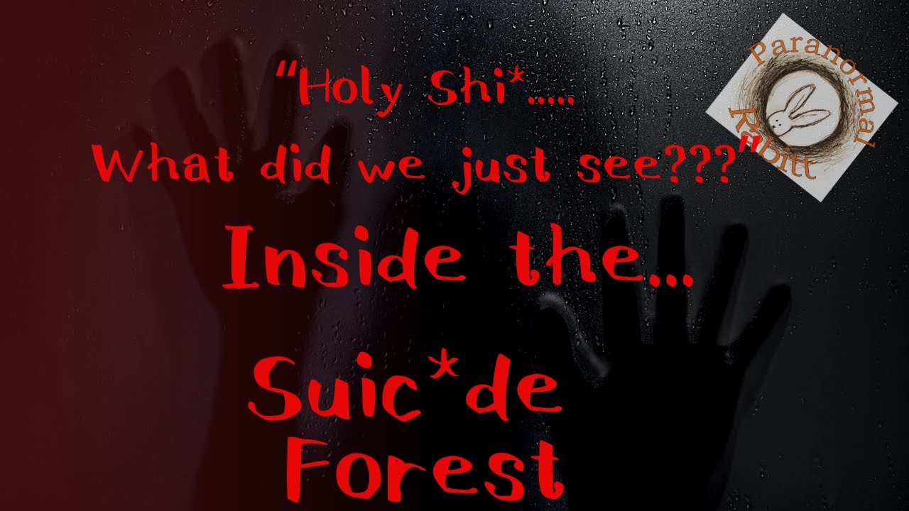 Inside Aokigahara: Japan’s Haunted Forest of DEATH - YouTube