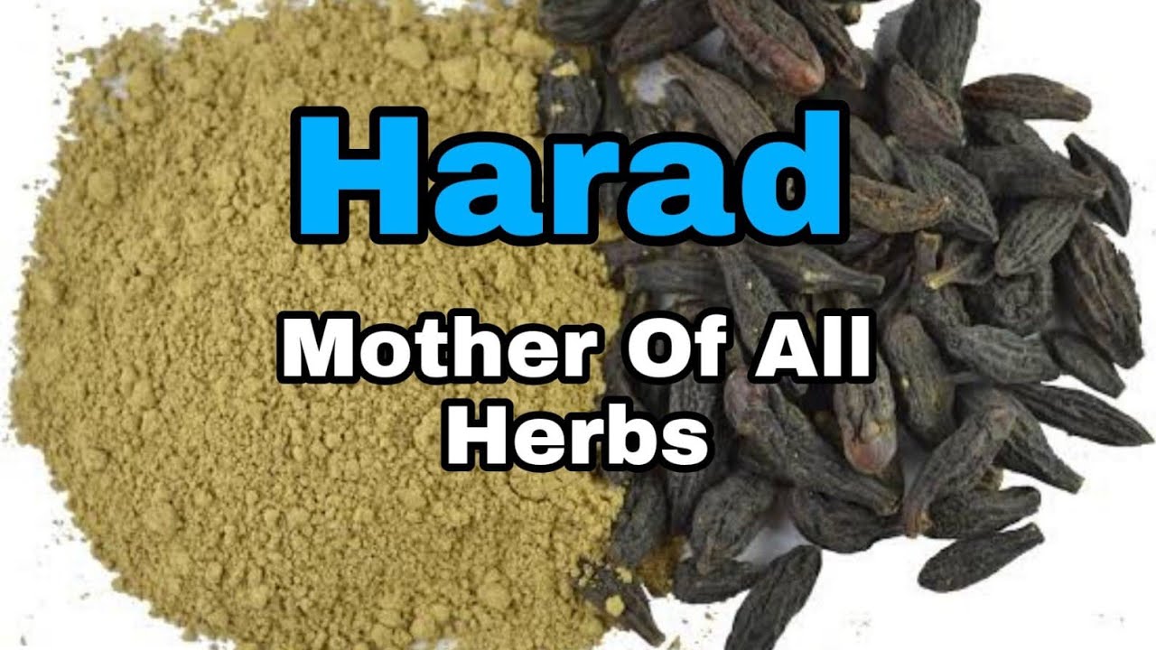 Harad is an Amazing Herb, with 100 Health Benefits - YouTube