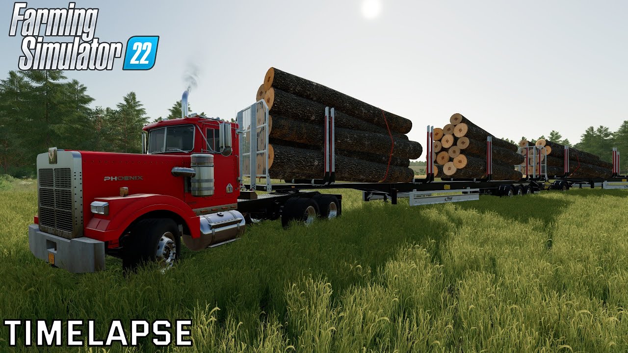 Selling 170 Trees For $200 000 | FS22 - Timelapse - EP 4 - YouTube