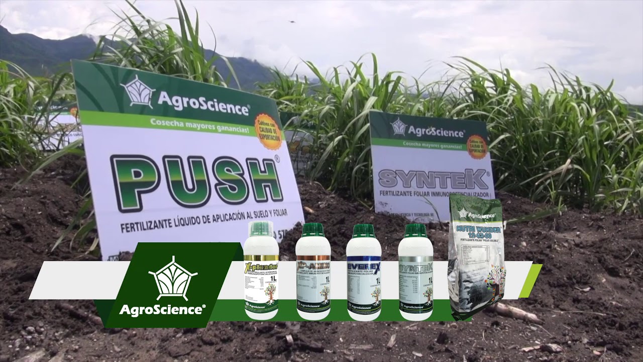 AgroScience | Paquete de Arranque en Caña RD 7511 - YouTube