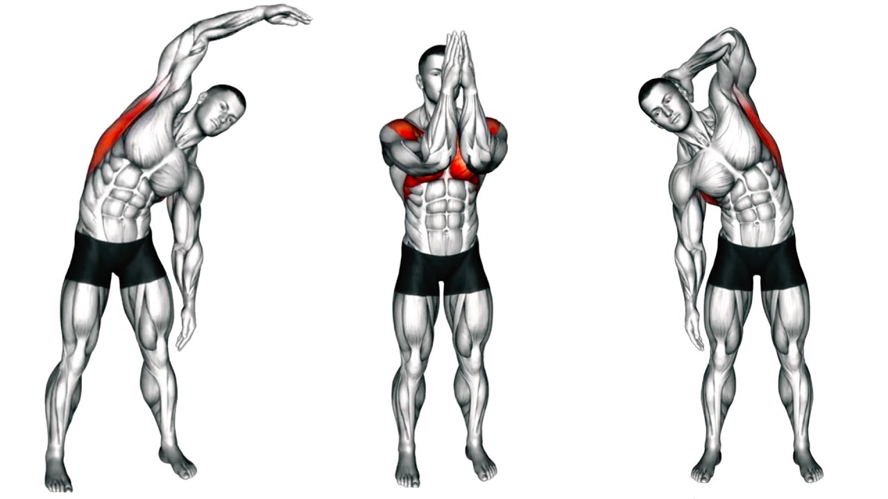 Energize Your Day with This 7-Minute Morning Warm-Up Stretching Routine ...