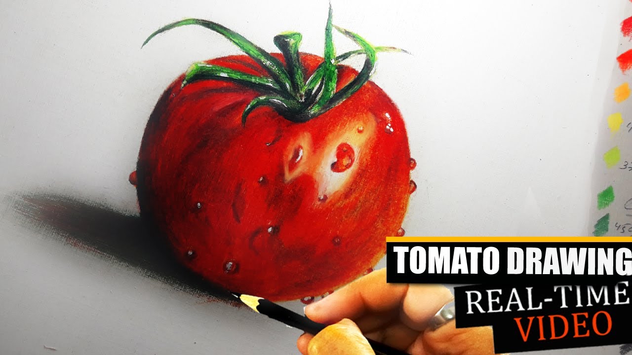 How to DRAW A TOMATO | REAL TIME DRAWING - YouTube