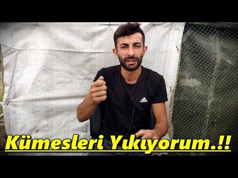 Kümesleri Kaldırıyorum.!Yeni Arazi Bakıyorum!-#Tekirdağ#Süleymanpaşa#tavuk#civciv