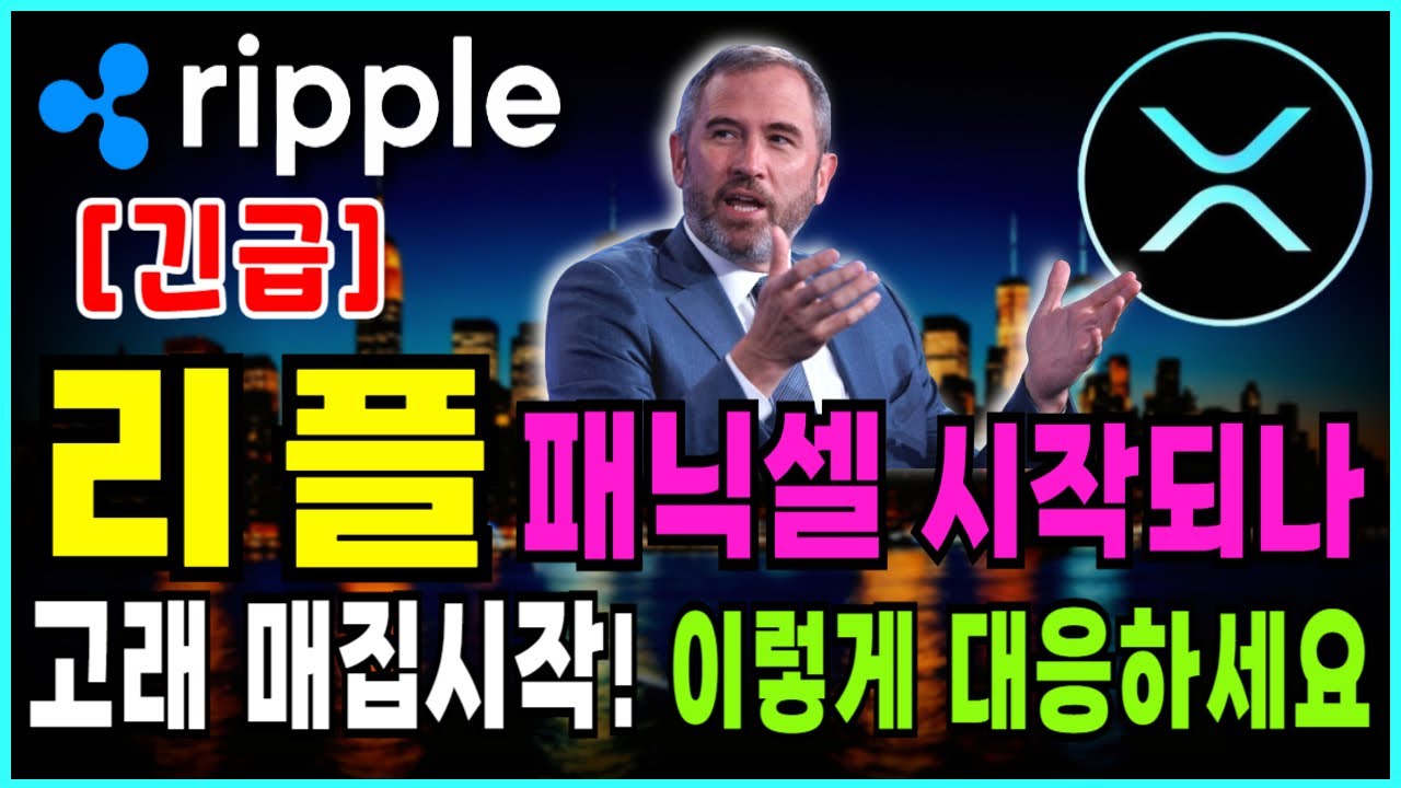 리플 코인 전망⭐패닉셀 시작되나 리플ceo 충격 대환장 이렇게 대응하세요 리플 리플전망 Xrp 엑스알피 리플코인