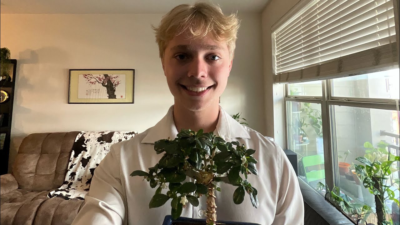 Informative Speech - Asher Morwick - Tiny Trees and Deep Roots - COM ...