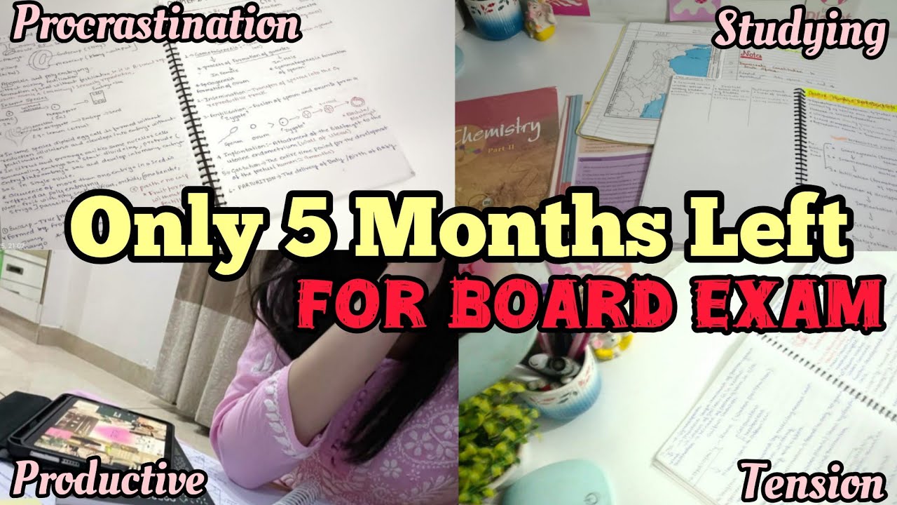ONLY 4 MONTHS LEFT FOR BOARD😱||STUDY VLOG AS 12TH GARDER🤯📚#studyvlog ...
