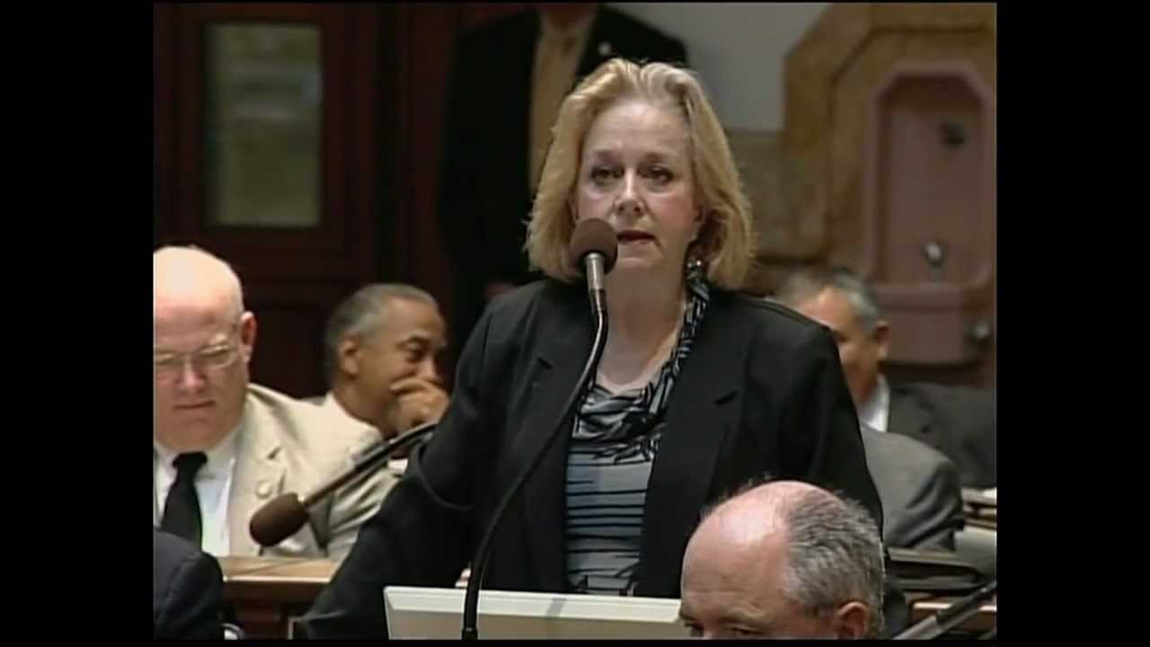 Senator Kathy Stein opposes SB 129 - YouTube