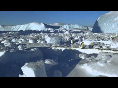BBC Planet Earth: Ice Worlds 4-D Experience ® | Trailer