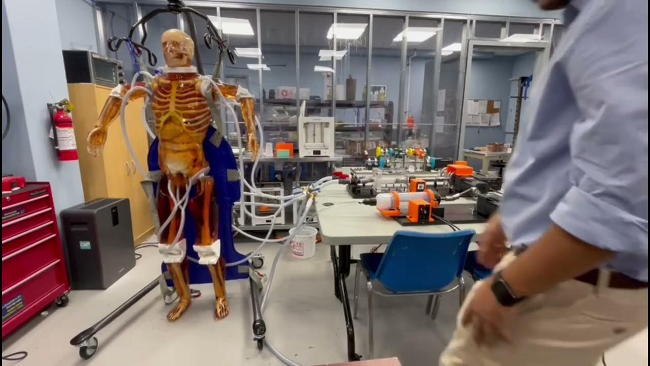 Dynamic Adult Full Body Phantom for X Ray CT, MRI - YouTube